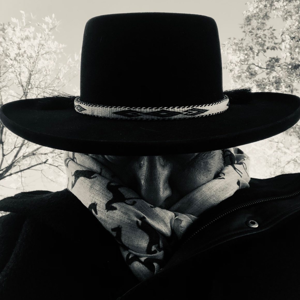 Mike Roque - Vital Spaces